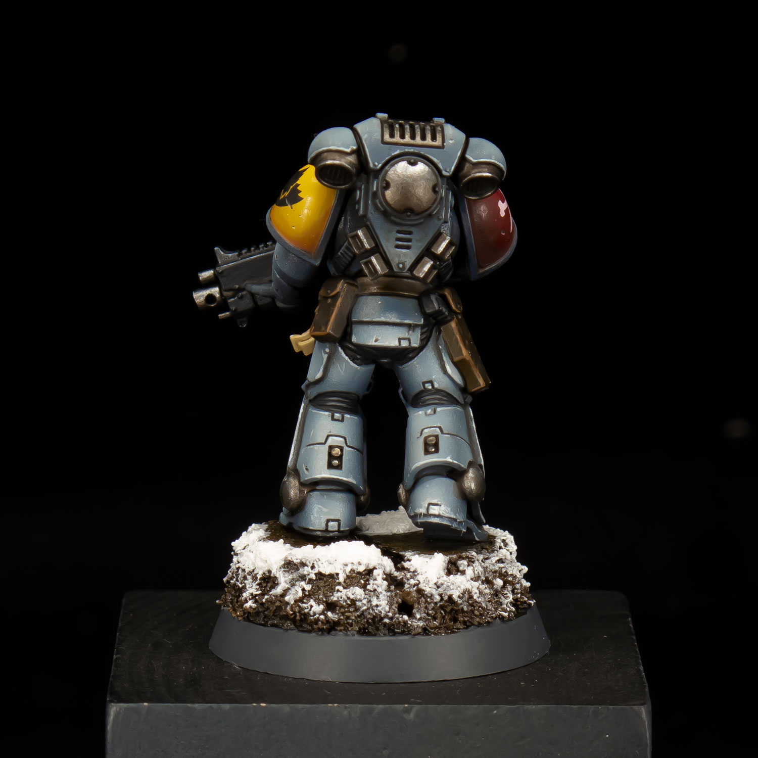 Space Wolves Intercessor » The Mighty Brush