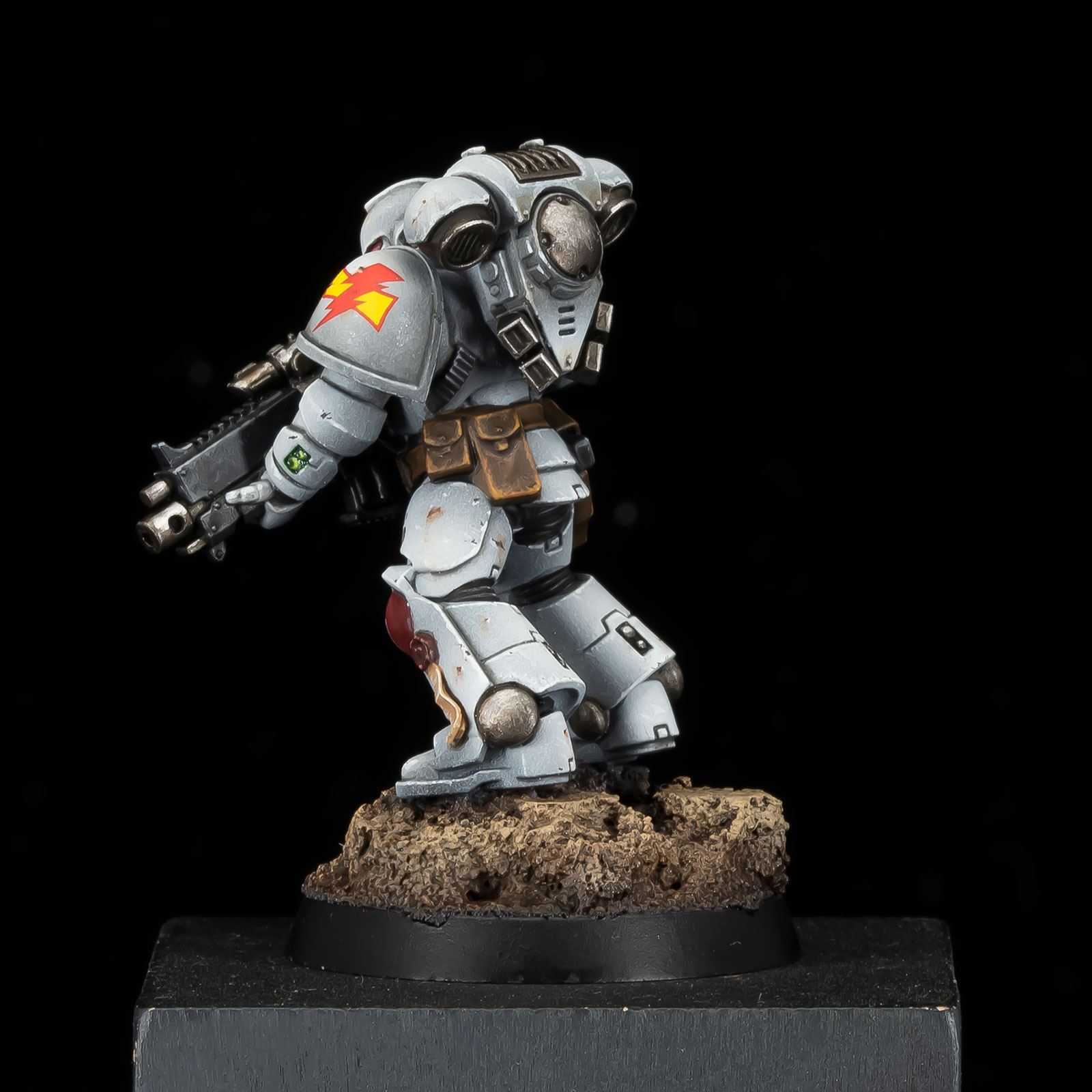 White Scar Intercessor » The Mighty Brush