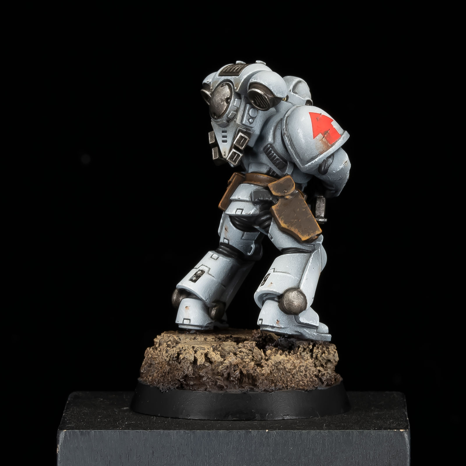 White Scar Intercessor » The Mighty Brush