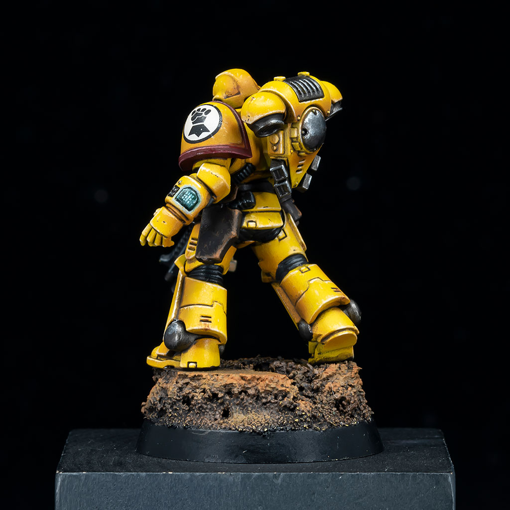 Imperial Fists Intercessor | The Mighty Brush
